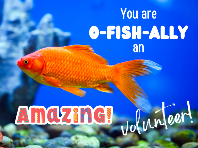 Breaker Rock Beach Volunteer Appreciation – Creative Ministry with Kids