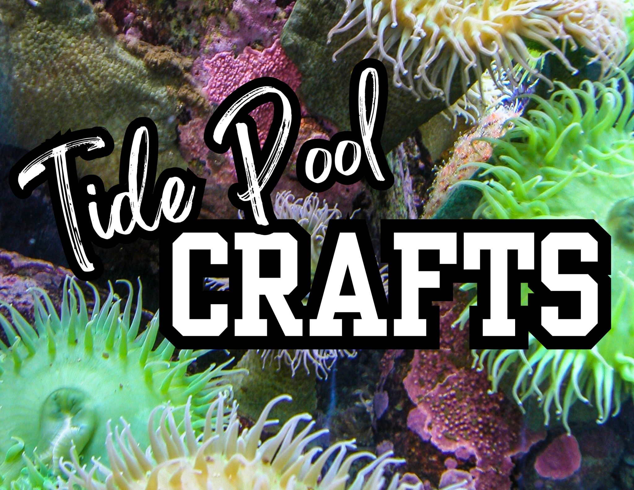 Breaker Rock Beach Decorating Resources – Creative Ministry with Kids