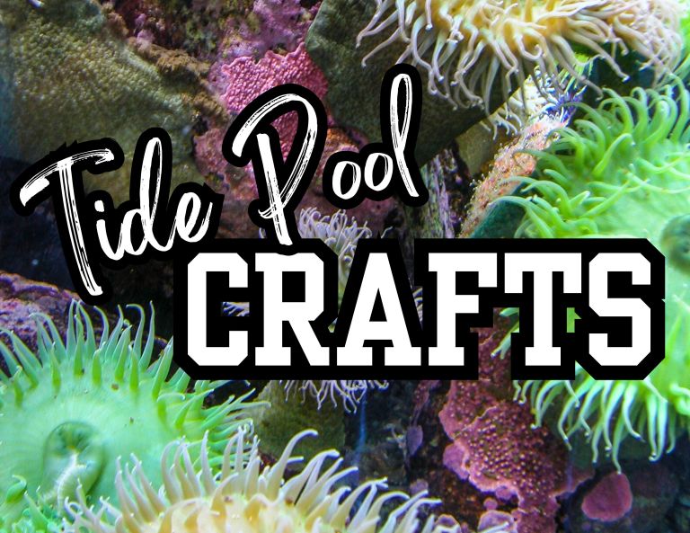 Breaker Rock Beach Decorating Resources – Creative Ministry with Kids