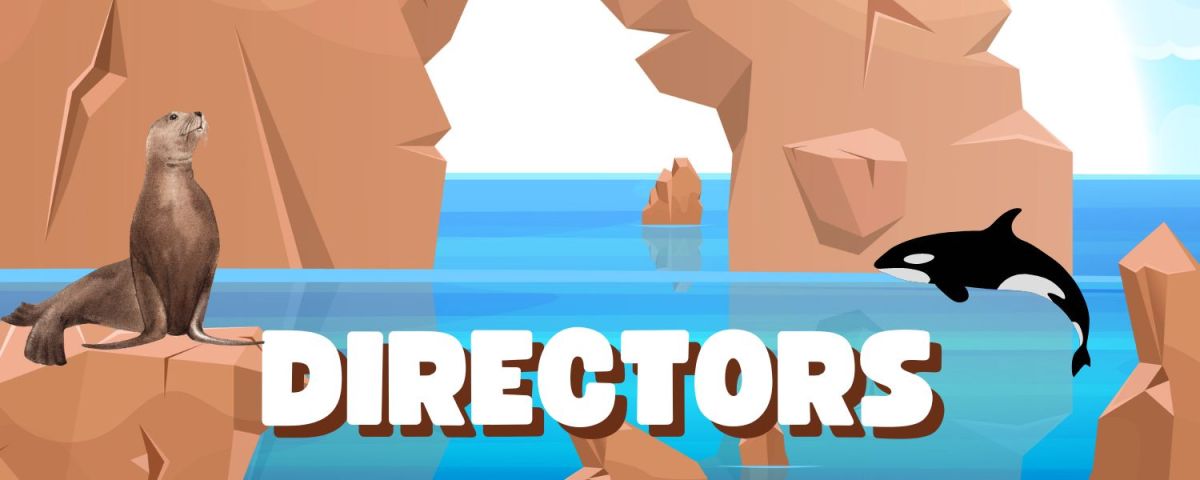 Breaker Rock Beach Director Resources – Creative Ministry with Kids