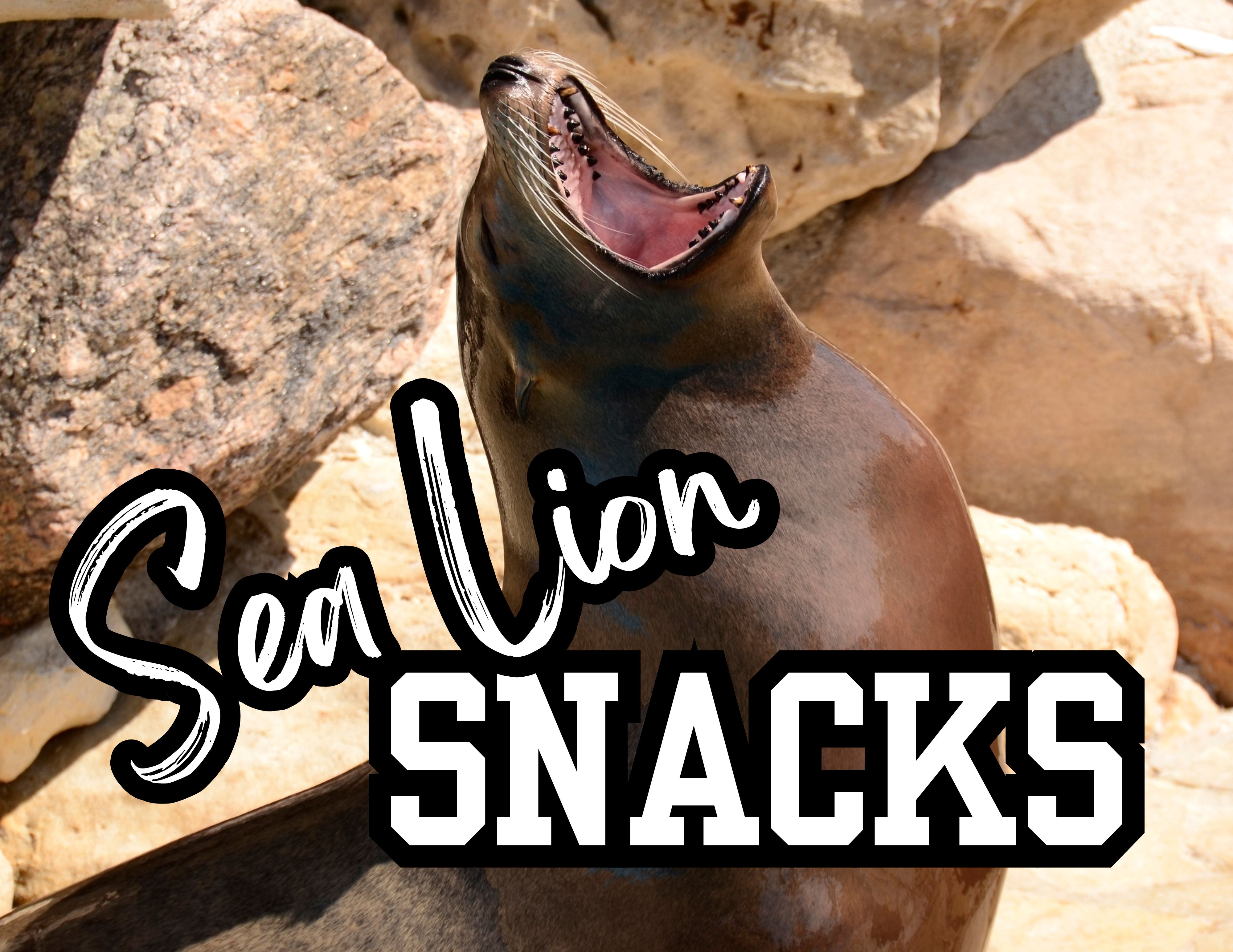 Breaker Rock Beach Decorating Resources – Creative Ministry with Kids