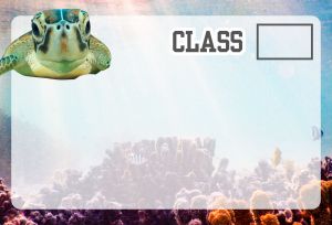 Breaker Rock Beach Director Resources – Creative Ministry with Kids